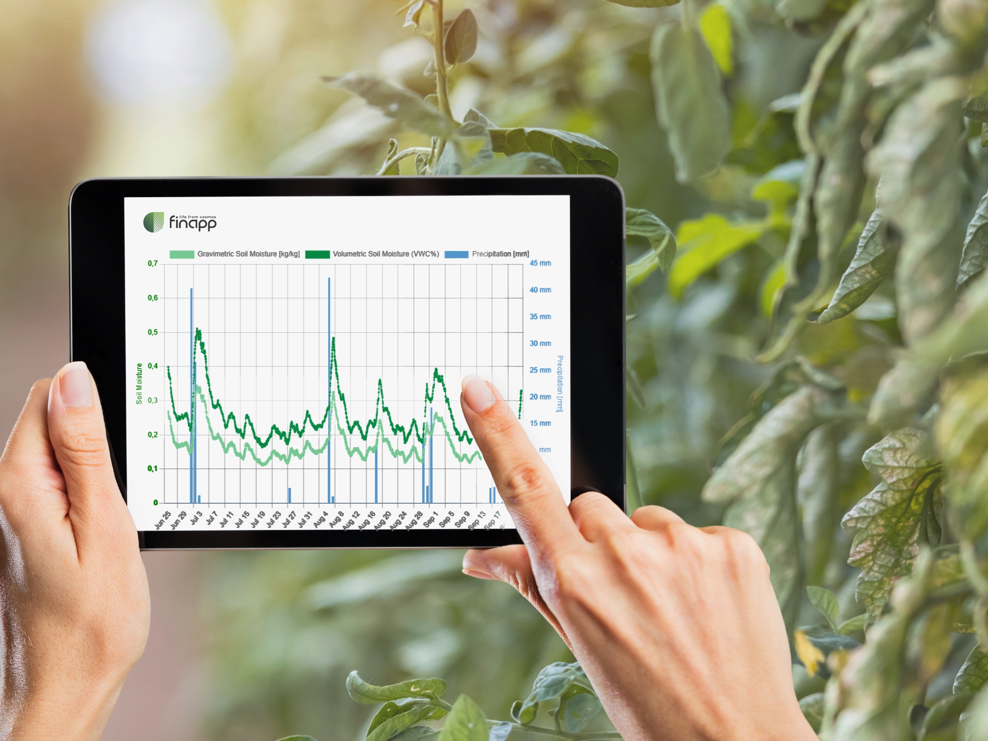 Sonda Finapp - Finapp